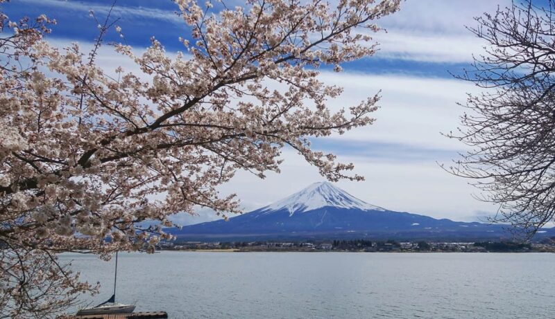 From Tokyo: Mount Fuji Instagram Spots 1-Day Private Tour - Customer Feedback