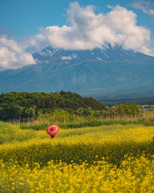 From Tokyo: Mount Fuji Instagram Spots 1-Day Private Tour - Exploring Hikawa Clock Shop
