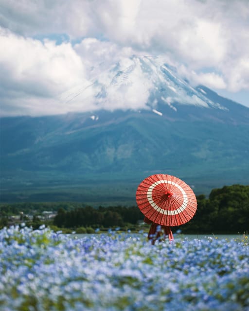 From Tokyo: Mount Fuji Instagram Spots 1-Day Private Tour - Discovering Oshino Hakkai and Oishi Park