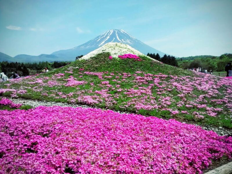 From Tokyo: Mount Fuji Instagram Spots Private Day Tour - Key Points