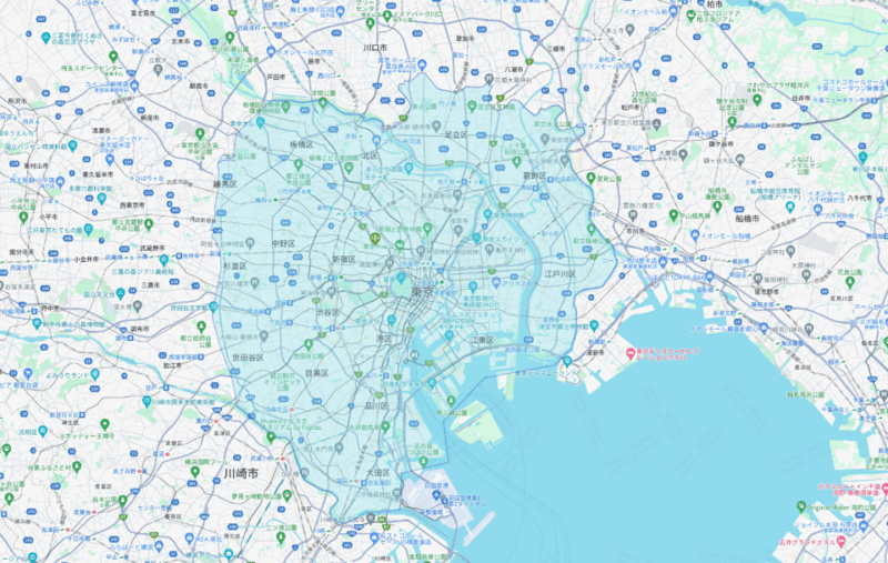 From Tokyo: Mount Fuji or Hakone+Gotemba Outlet Day Tour 10H - Transportation and Driver Information