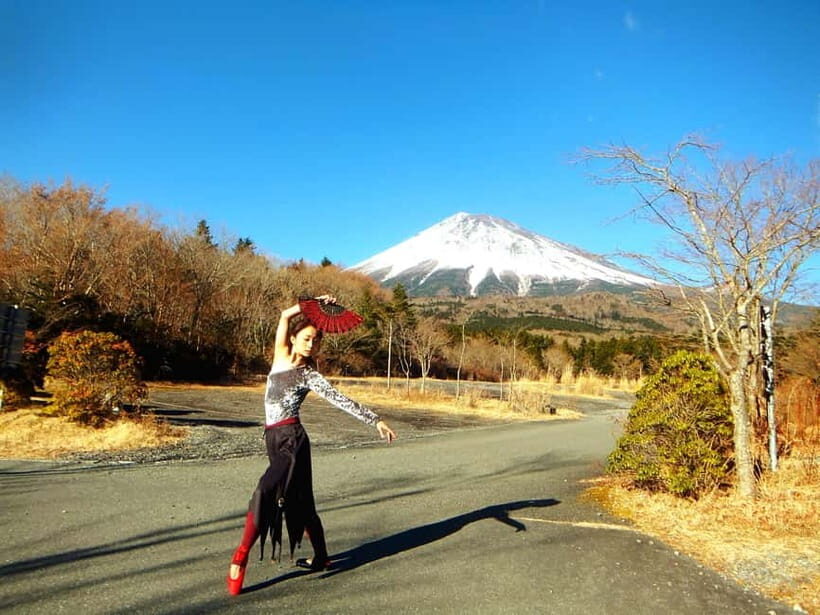 From Tokyo: Mount Fuji Private Day Tour Fully Customizable - Key Points