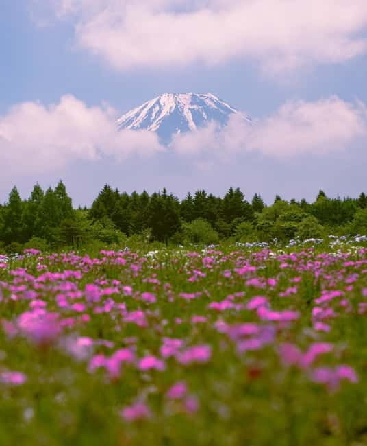 From Tokyo: Mount Fuji Private Day Tour Fully Customizable - The Practical Side: What to Expect