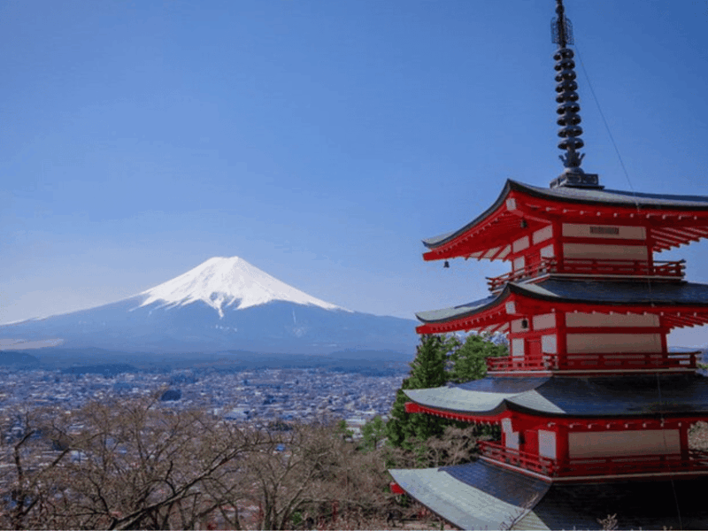From Tokyo : Mount Fuji Private Day Tour With English Driver - Vehicle and Amenities