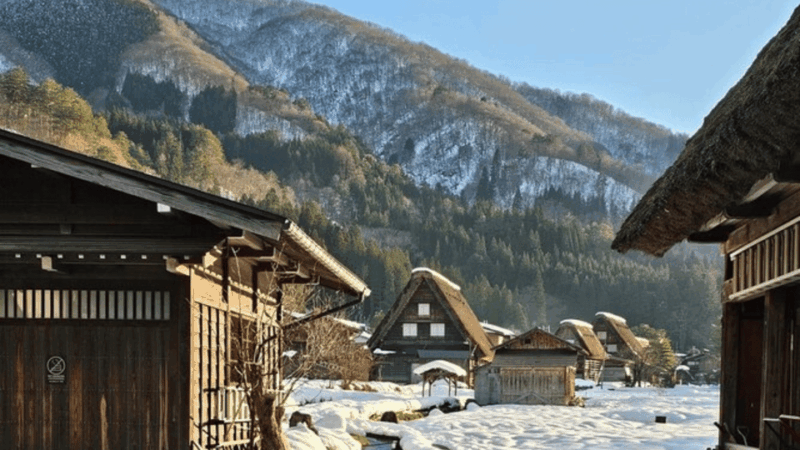 From Tokyo : Mount Fuji Private Day Tour With English Driver - Customer Experience