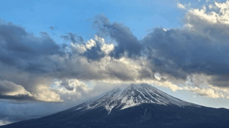 From Tokyo : Mount Fuji Private Day Tour With English Driver - Important Information