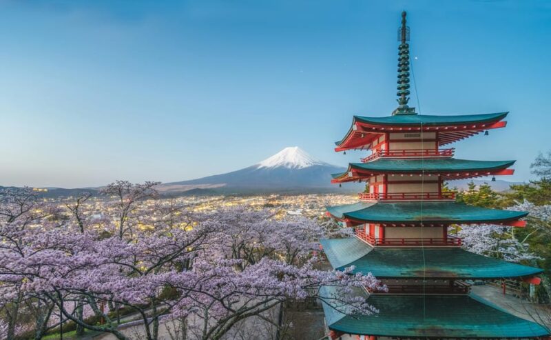 From Tokyo: Mount Fuji Private Day Trip With Driver - Optional Stops and Experiences