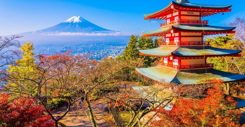 From Tokyo: Mount Fuji Private Day Trip With Driver - Transportation and Pickup Details