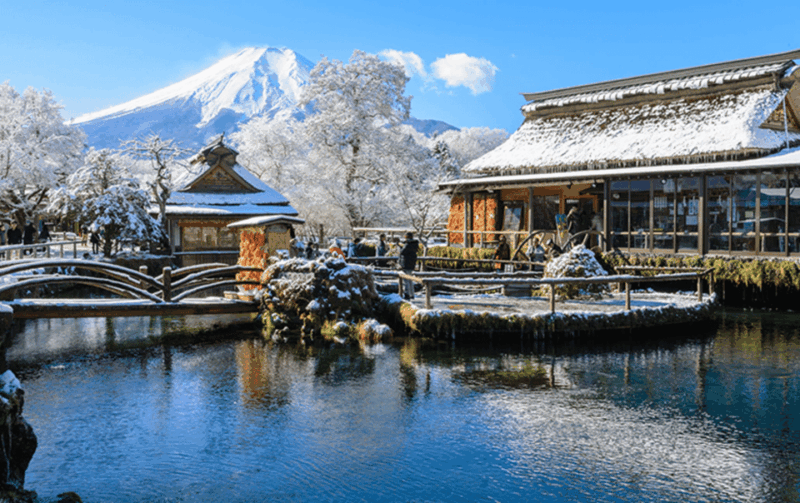 From Tokyo: Mount Fuji Private Day Trip With Driver - Packing and Dress Recommendations