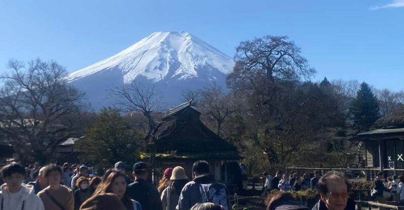 From Tokyo: Mount Fuji Private Day Trip With Pickup - Key Points