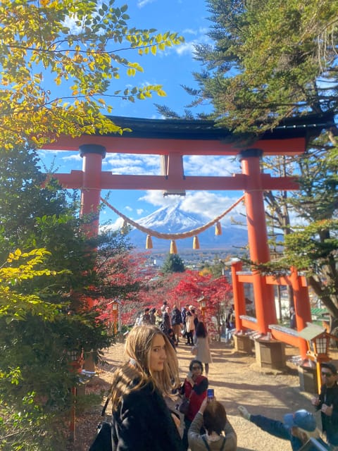 From Tokyo: Mount Fuji Private Day Trip With Pickup - Transportation and Accessibility