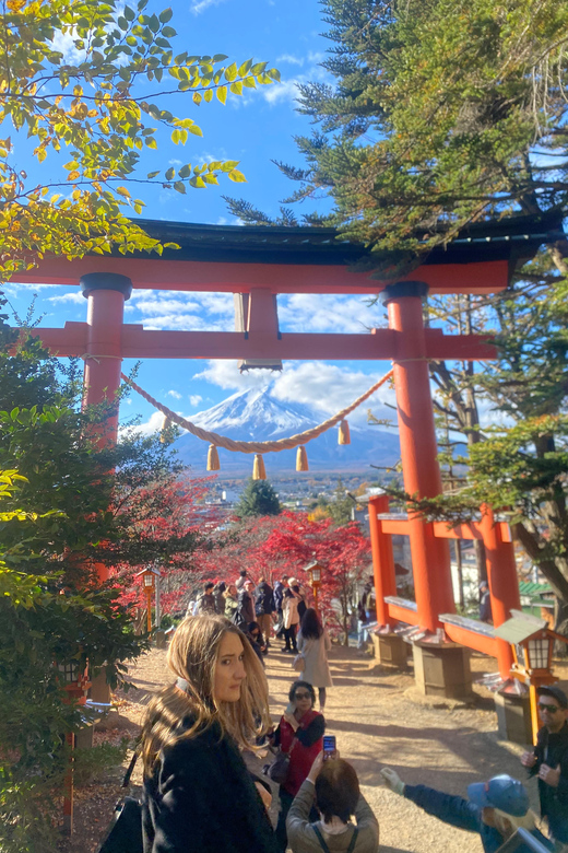 From Tokyo: Mount Fuji Private Day Trip With Pickup - Optional Visits
