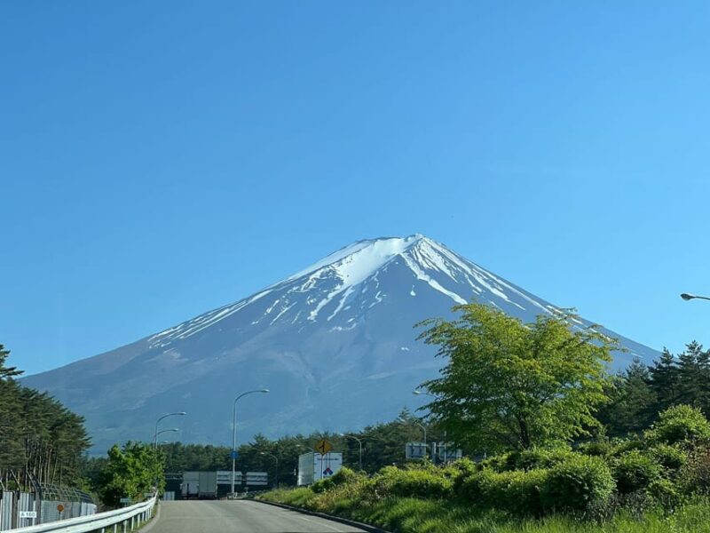 From Tokyo: Mount Fuji Private Full-Day Tour - Key Points