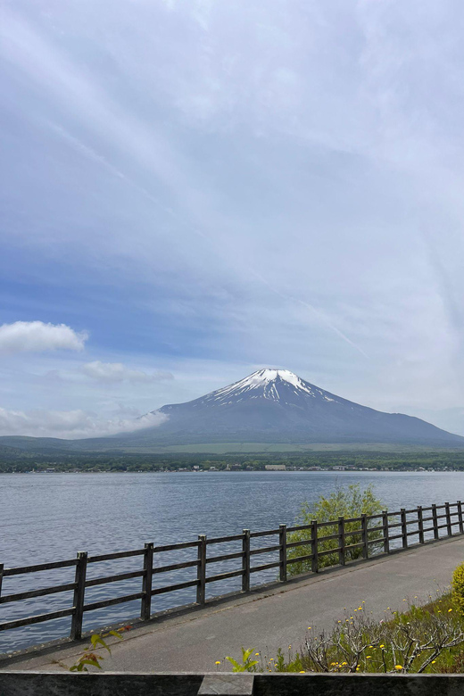 From Tokyo: Mount Fuji Private Full-Day Tour - Mount Fuji 5th Station