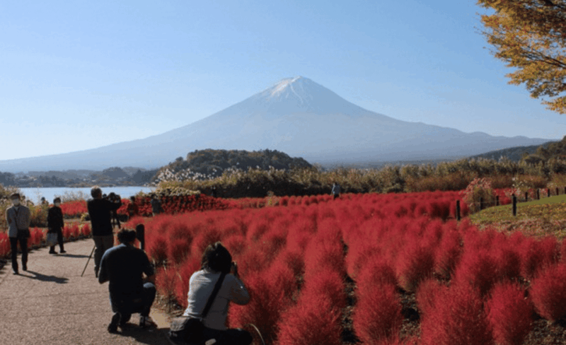 From Tokyo: Mount Fuji Private Sightseeing Day Trip - Itinerary Highlights