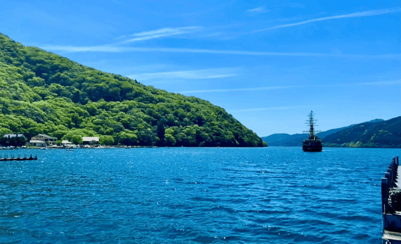 From Tokyo: Mount Fuji Private Sightseeing Day Trip - Customer Reviews and Feedback