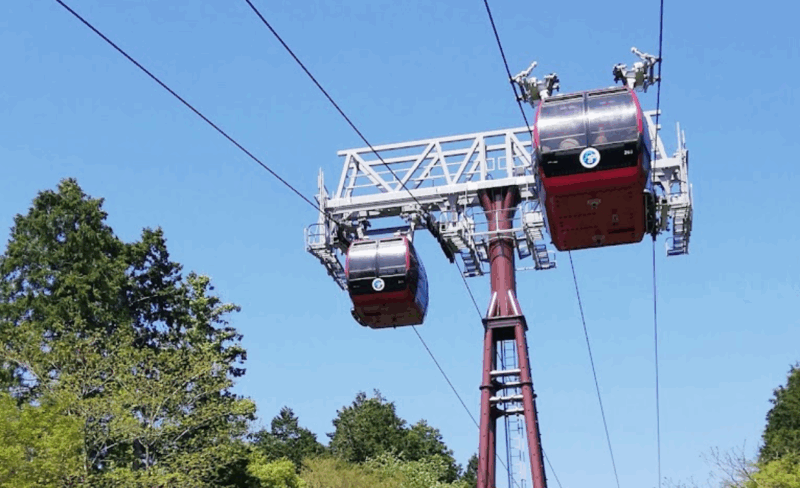 From Tokyo: Mount Fuji Private Sightseeing Day Trip - Customizing Your Tour Experience