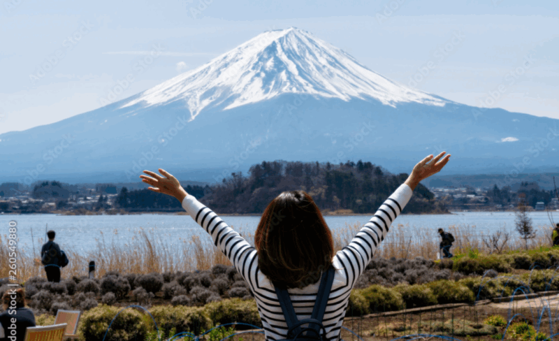 From Tokyo Mount Fuji Private Tour English Speaking Driver - Key Points