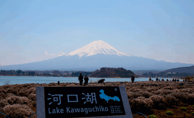 From Tokyo Mount Fuji Private Tour English Speaking Driver - Transportation and Accessibility