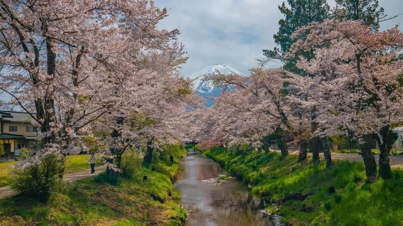 From Tokyo: Mount Fuji Private Tour with a Driver/Guide - The Itinerary in Detail