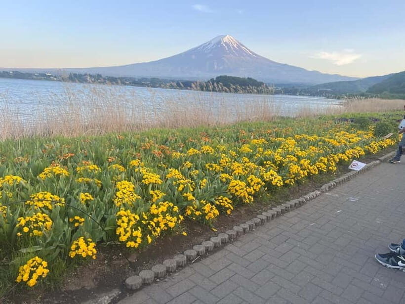 From Tokyo: Mount Fuji Private Tour with a Driver/Guide - What’s Included and What’s Not