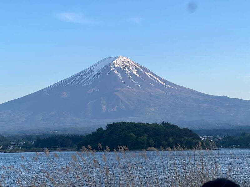 From Tokyo: Mount Fuji Private Tour With a Driver/Guide - Tour Features and Accessibility