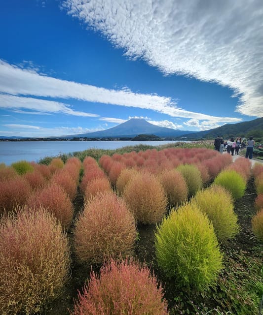 From Tokyo: Mount Fuji Private Tour With Driver - Key Points
