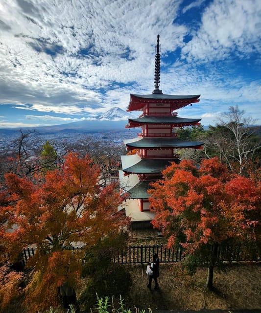 From Tokyo: Mount Fuji Private Tour With Driver - Transportation and Pickup