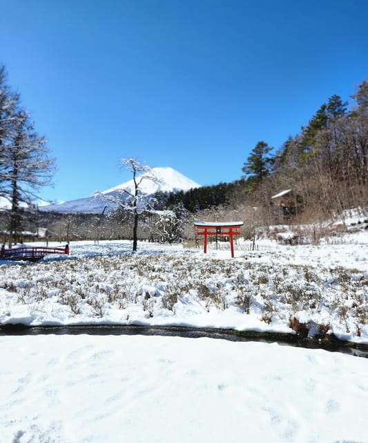 From Tokyo: Mount Fuji Private Tour With Driver - Additional Costs