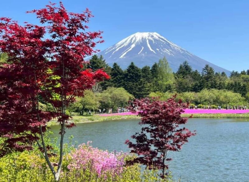 From Tokyo: Mount Fuji Private Tour With English Speaking Dr - Itinerary Highlights