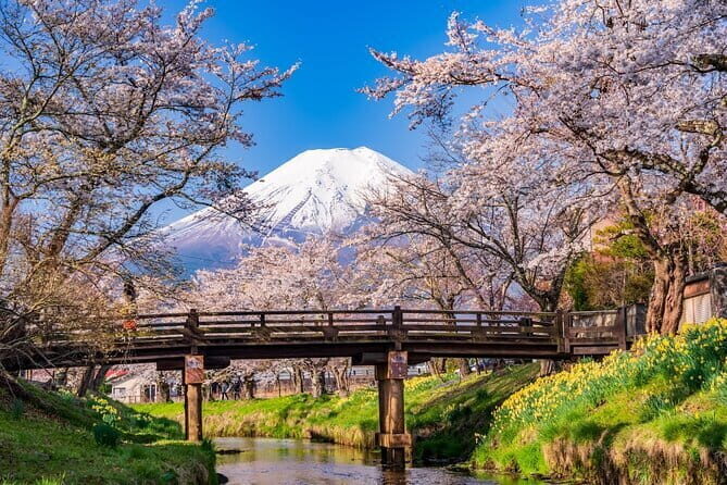 From Tokyo: Mount Fuji Sightseeing One Day Trip - Introduction
