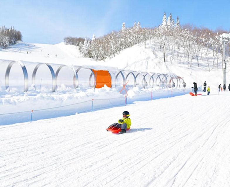 From Tokyo: Mount Fuji Skiing and Hot Springs Day Tour - Whats Included