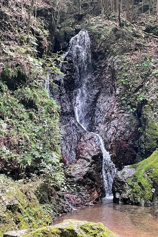 From Tokyo: Mountain Ridge Hike & Scenic Waterfall Day Tour - Itinerary Details