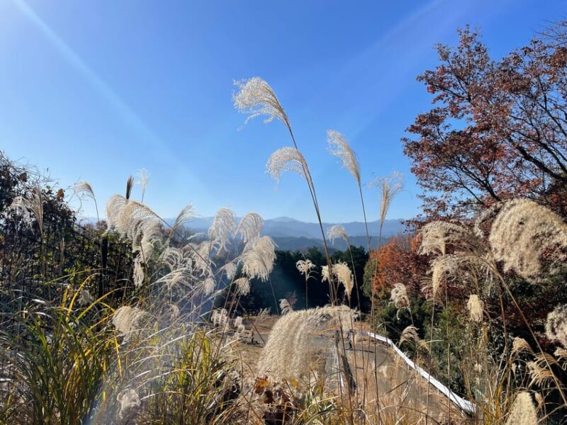 From Tokyo: Mountain Ridge Hike & Scenic Waterfall Day Tour - Important Information