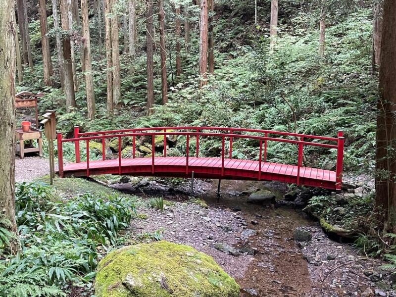 From Tokyo: Mountain Ridge Hike & Scenic Waterfall Day Tour - What to Bring and Expect