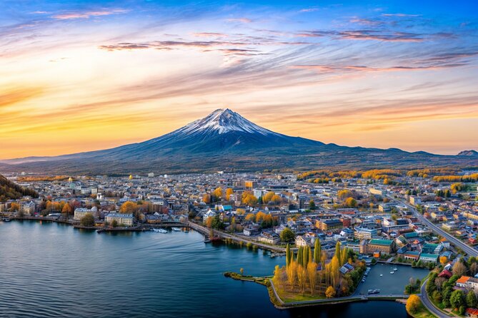 From Tokyo: Mt Fuji and Hakone Private Day Trip - Pickup and Transportation Details