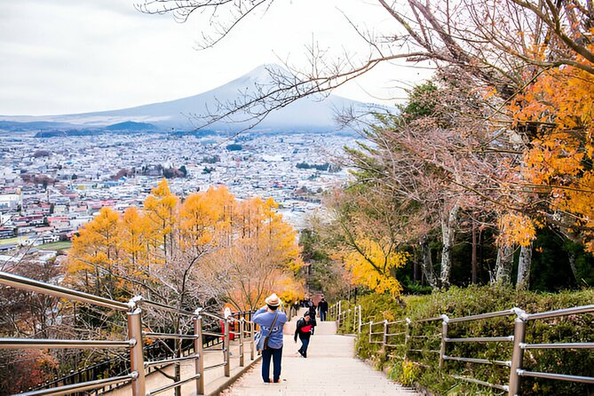 From Tokyo: Mt Fuji and Hakone Private Day Trip - Photo Opportunities