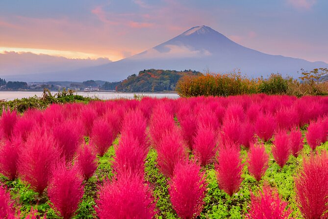 From Tokyo: Mt Fuji and Hakone Private Day Trip - Accessibility and Participation