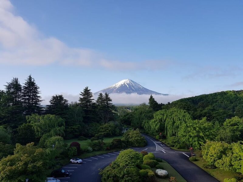 From Tokyo: Mt. Fuji And Hakone Private Sightseeing Day Trip - Mount Fuji Experience
