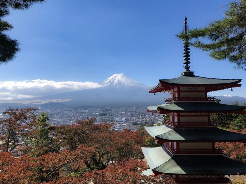 From Tokyo: Mt. Fuji And Hakone Private Sightseeing Day Trip - Booking and Reservation Details