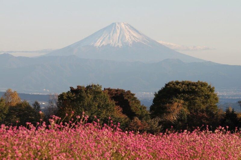 From Tokyo: Mt. Fuji And Hakone Private Sightseeing Day Trip - Key Points