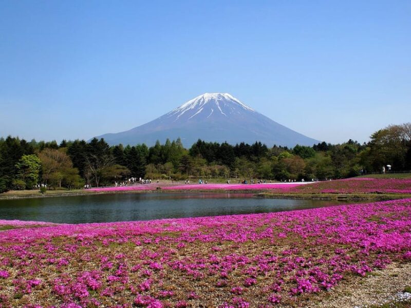 From Tokyo: Mt. Fuji And Hakone Private Sightseeing Day Trip - Itinerary Highlights