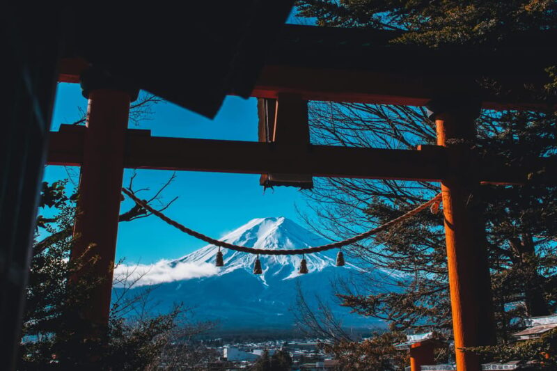 From Tokyo: Mt. Fuji And Hakone Private Sightseeing Day Trip - Contact for Additional Information