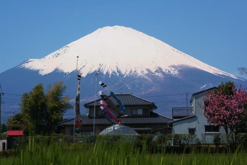 From Tokyo: Mt. Fuji And Hakone Private Sightseeing Day Trip - Frequently Asked Questions