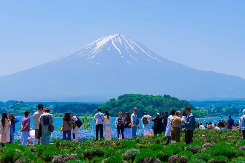 From Tokyo: Mt Fuji, Arakurayama and Kawaguchi Lake Day Trip - FAQs