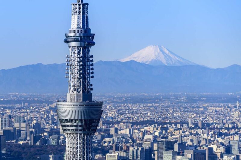 From Tokyo: Mt. Fuji Customizable Full Day Private Tour - Itinerary Highlights
