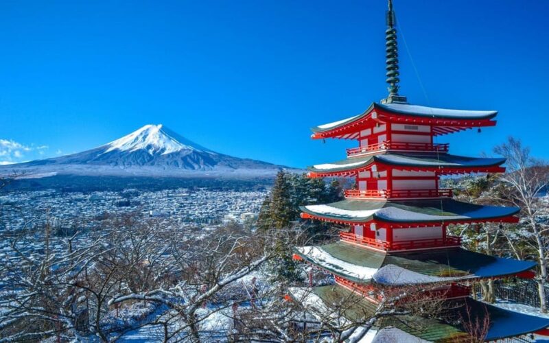 From Tokyo: Mt. Fuji Customizable Full Day Private Tour - Transportation and Amenities