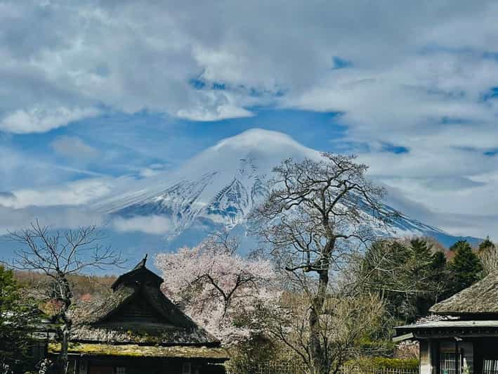 From Tokyo: Mt. Fuji Customizable Full Day Private Tour - Inclusions and Exclusions