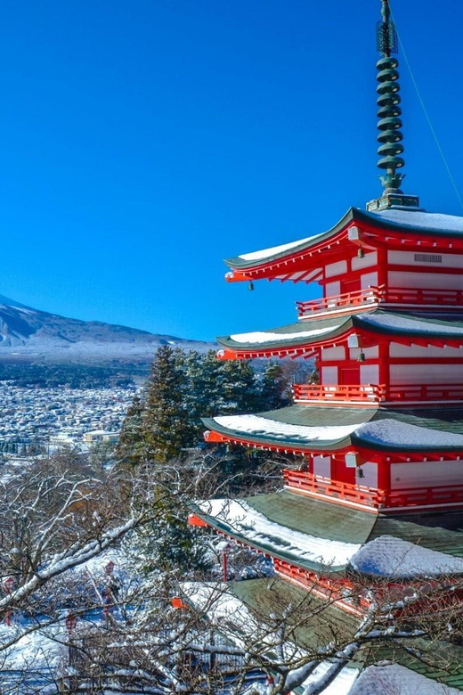 From Tokyo: Mt. Fuji Customizable Full Day Private Tour - Additional Tips and Considerations