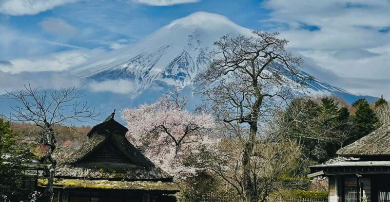 From Tokyo: Mt. Fuji Customizable Full Day Private Tour - Frequently Asked Questions